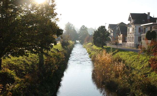 Hochwasserschutzprojekt Freibach-Gstaldenbach: Positive Rückmeldungen ...