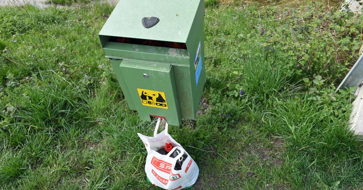 Robidog aus Papier | Der Rheintaler