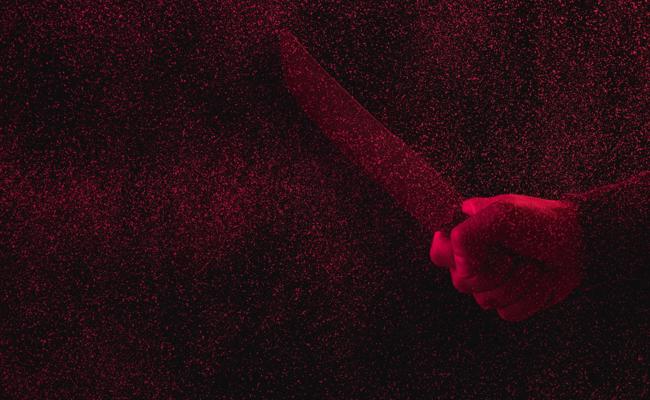 Messerattacke im Zug | Der Rheintaler