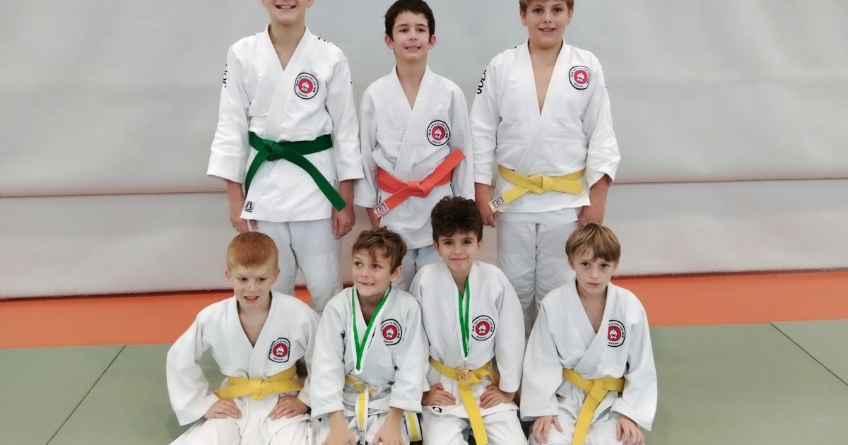 Der junge Judoka Liam Hartmann ist Ostschweizer Meister | Der Rheintaler