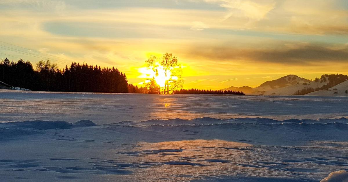 Goldener Schnee | Der Rheintaler