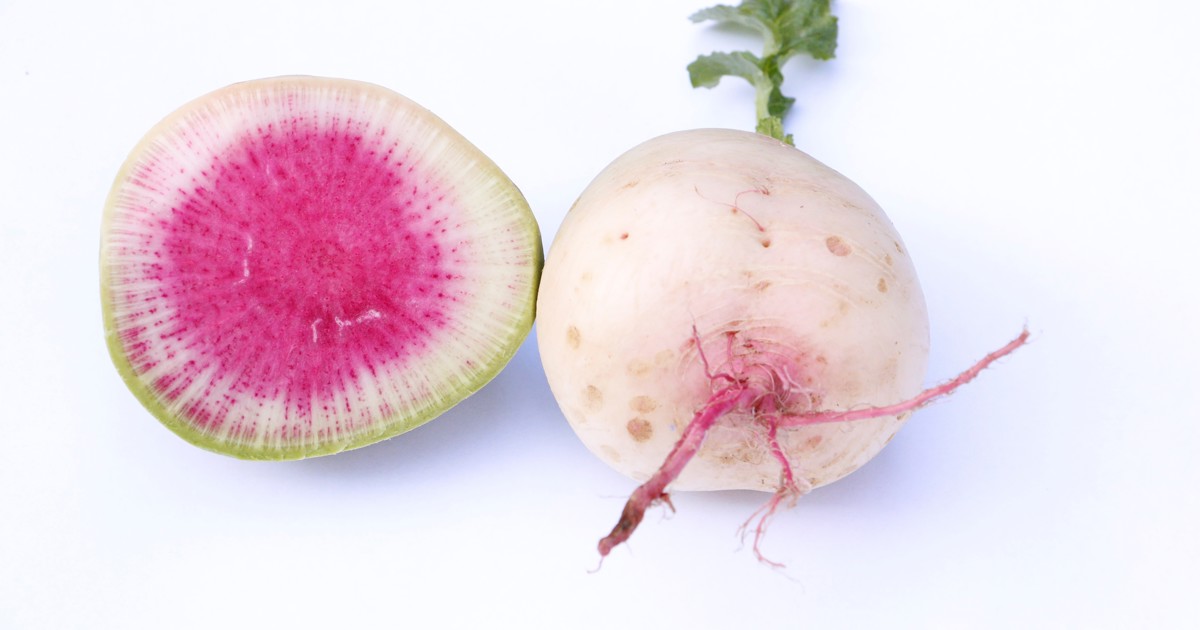 Von der Wurzel bis zum Blatt - das klappt beim Radiesli ohne Knollen ...