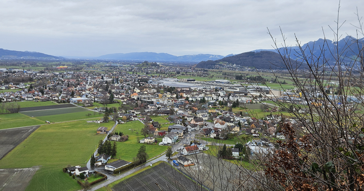 Eine Gemeinde wird digital: Fünf Dorf-Apps verändern die Kommunikation | Der Rheintaler