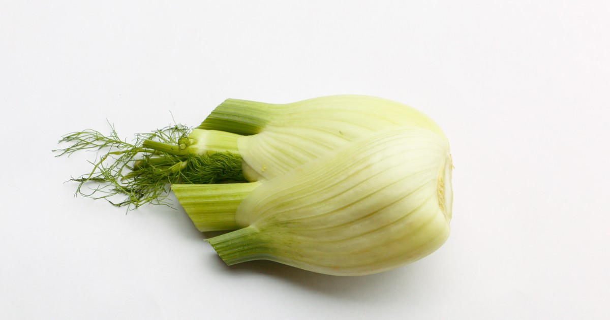 Fenchel anbauen: Tipps gegen sein Schiessen und sein polarisierender ...