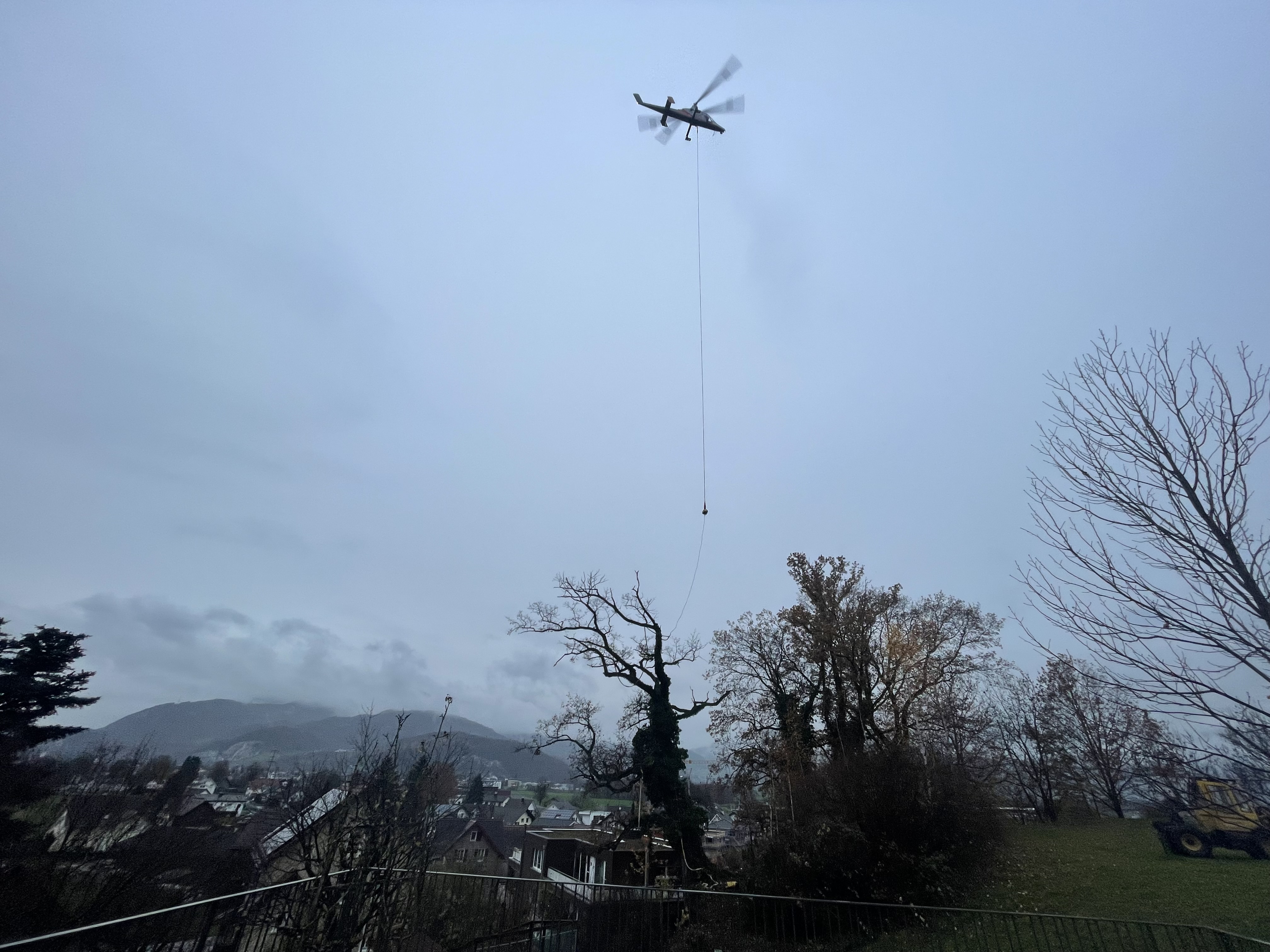 Hier fliegt eine über hundert Jahre alte Eiche durch die Luft | Der ...