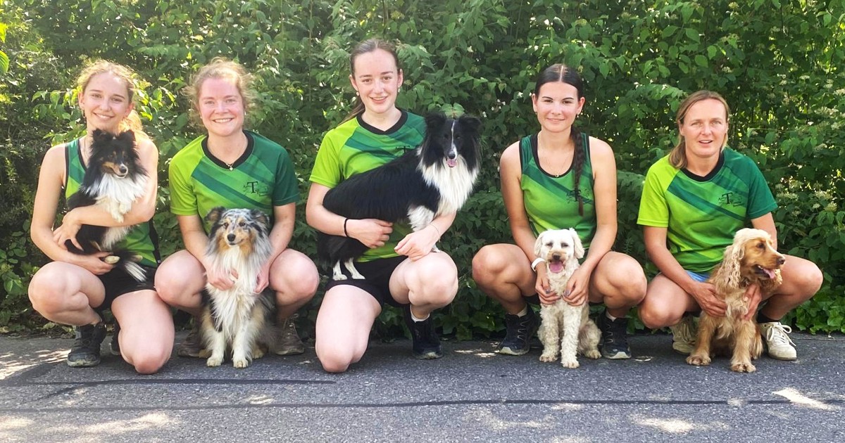 Die Hundeschule «Team Training» glänzt in Wohlen | Der Rheintaler