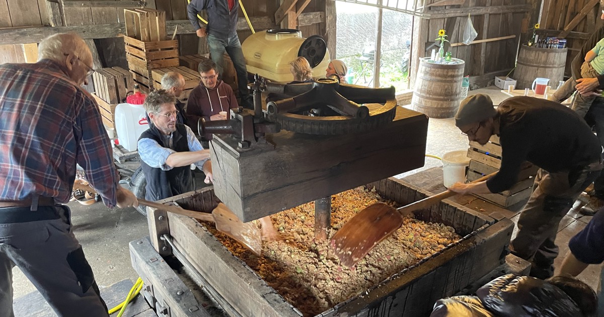 Mosten wie vor 100 Jahren: Apfelfreunde erleben Handarbeit und ...