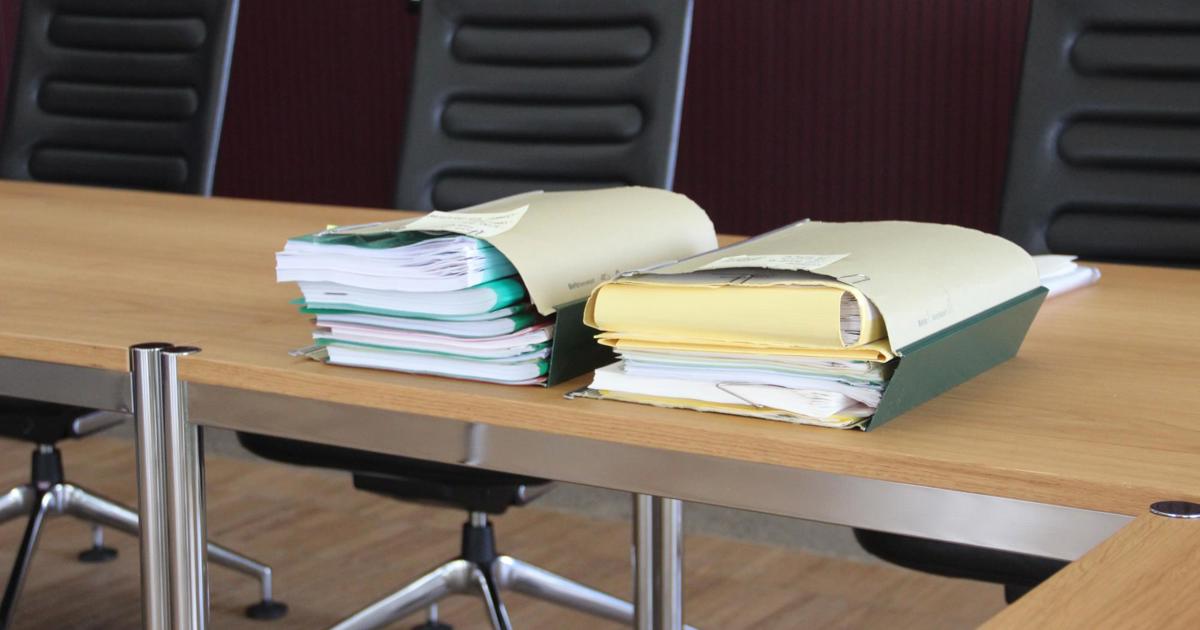 Nächster Bodypacker vor Gericht | Der Rheintaler