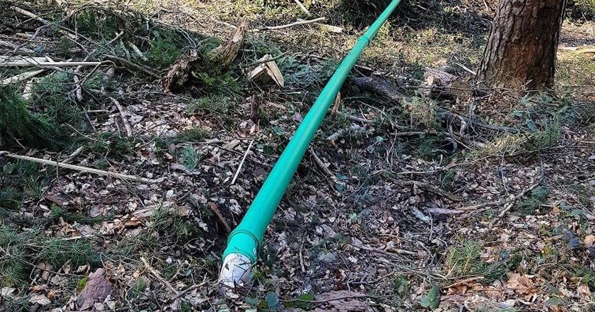 Quellfassungsleitung wird erneuert | Der Rheintaler