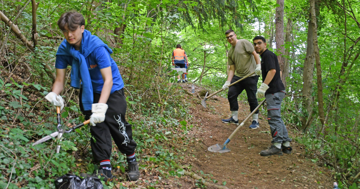 libs-Lernende sanieren den Wild-Stiften-Weg in Heerbrugg | Der Rheintaler