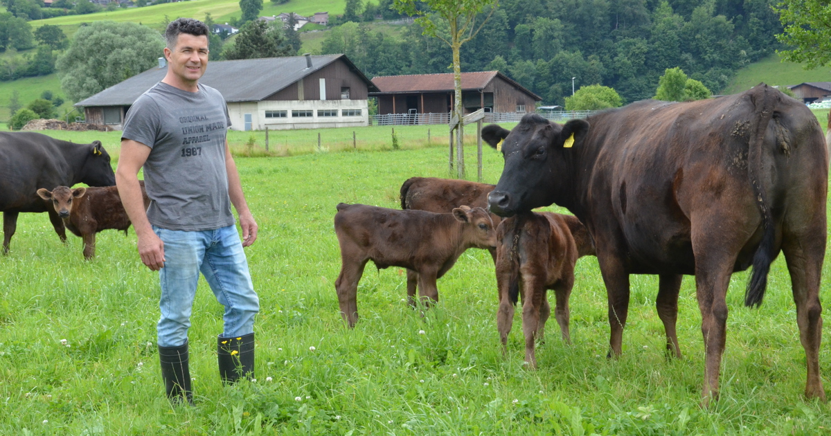 Christian Vetsch und Hans Hagmann züchten Wagyu-Rinder - sie sind ein ...