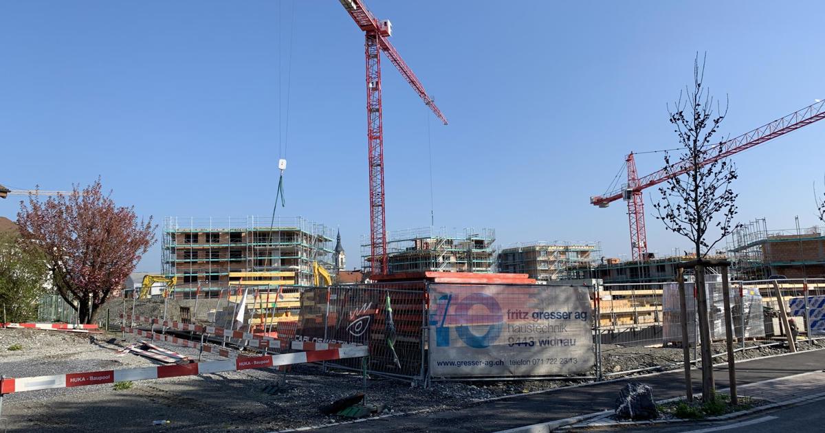 Der Menzi-Park wächst | Der Rheintaler