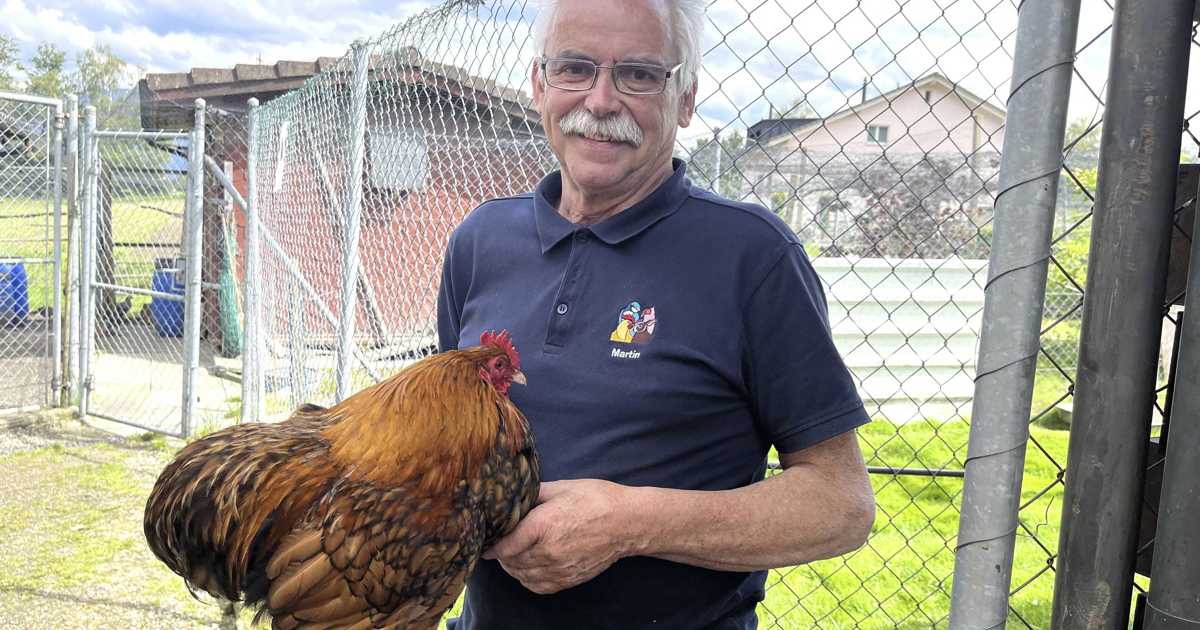 «Habe noch nie einen Züchter mit Burn-out gesehen» | Der Rheintaler