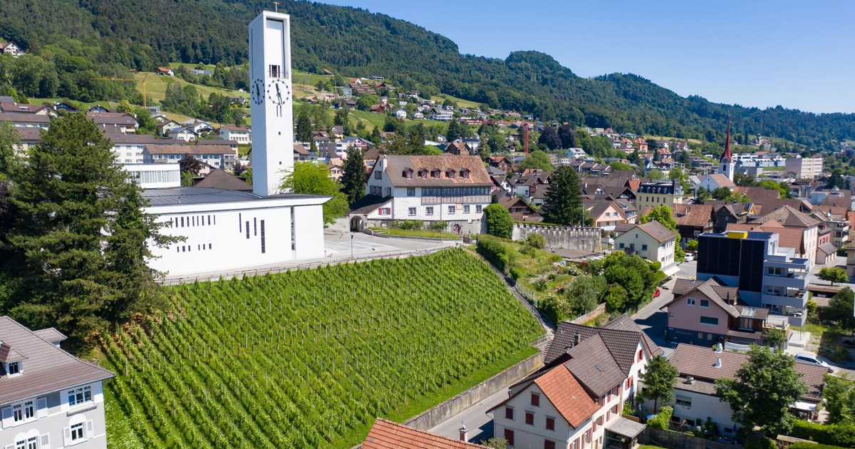 Reben in Privatgärten: Rebstein will zum Jubiläum eine Tradition ...