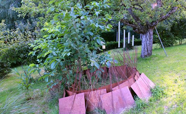 «Das Paradies findet statt» | Der Rheintaler