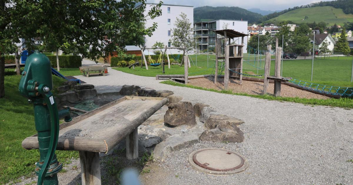 Gemeinderat Eichberg bewilligt Mobilfunkantenne | Der Rheintaler