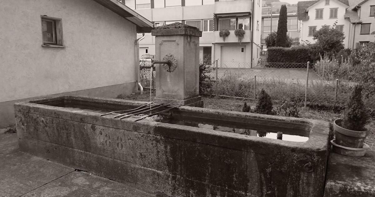 Ane sibenevierzgi | Der Rheintaler