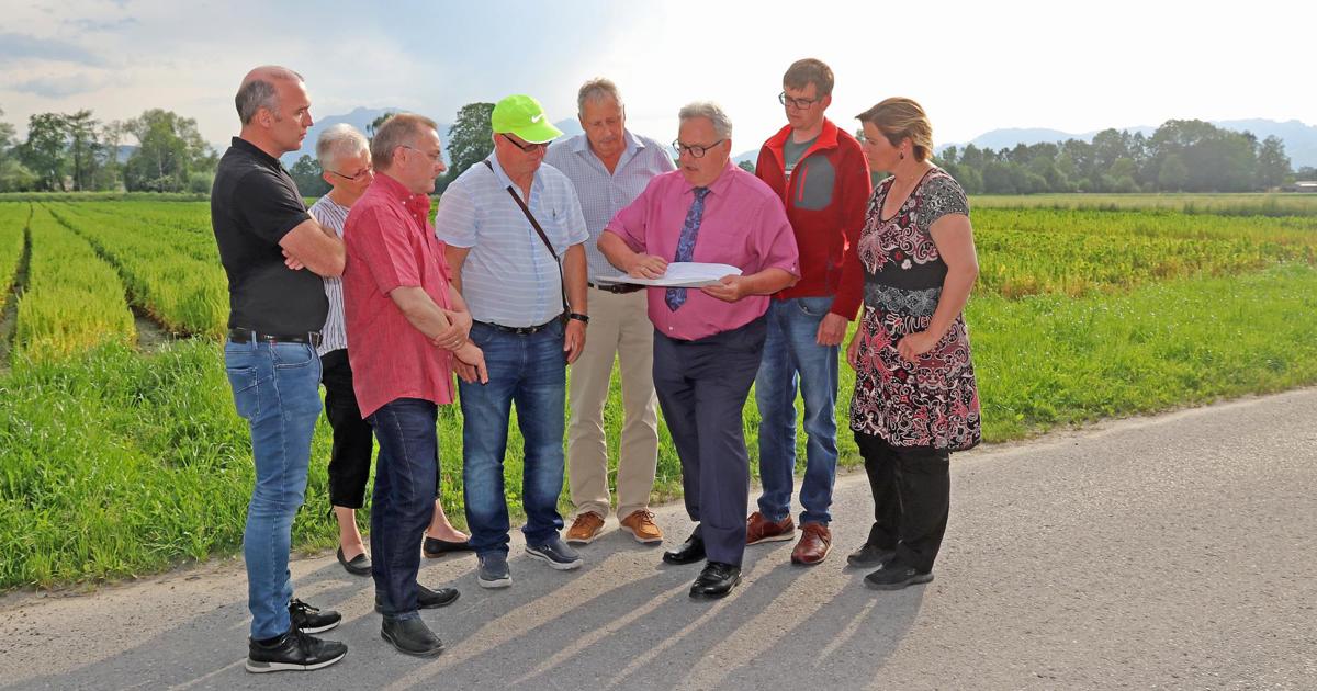 Der Ersatz-Gemeinderat legt los | Der Rheintaler